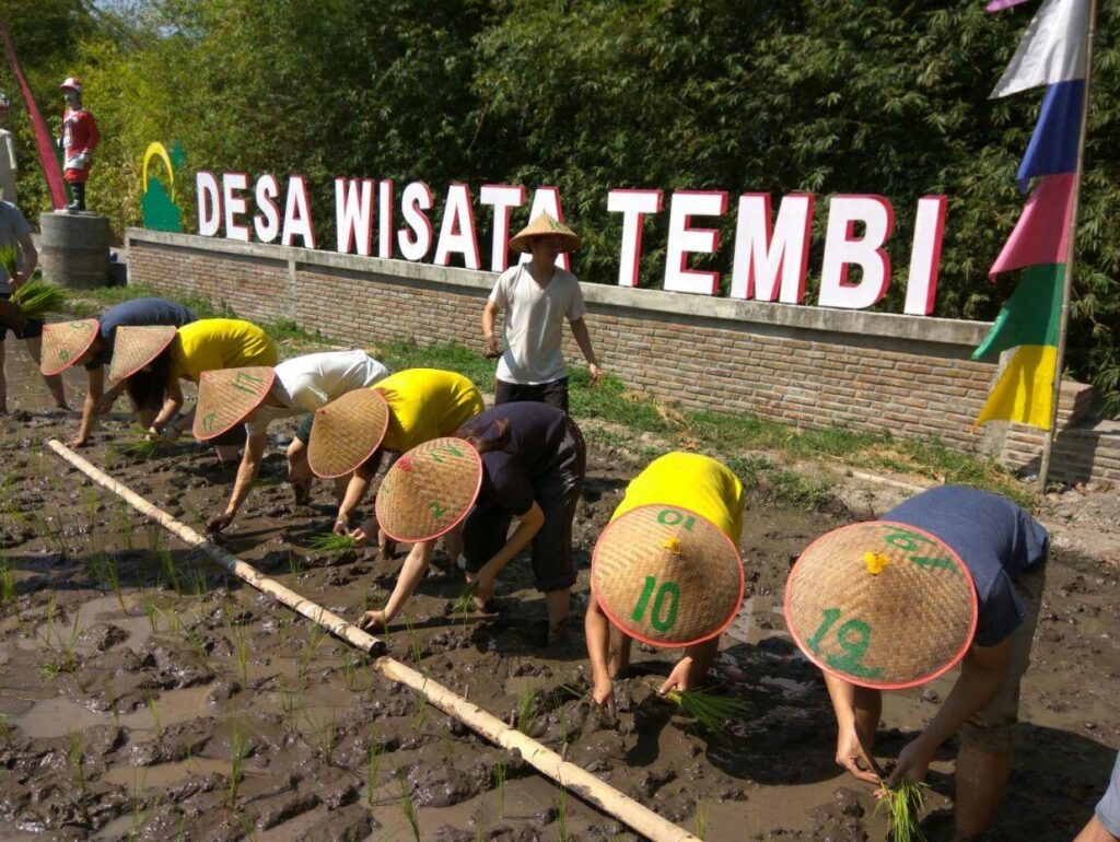 Desa Wisata Tembi: Sukses Lestarikan Budaya dan Dongkrak Ekonomi ...